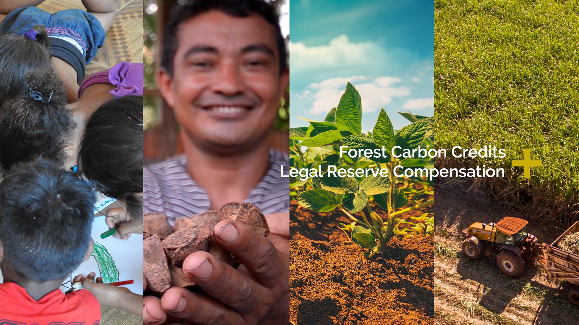 Institutional - Biofílica Environmental Investments