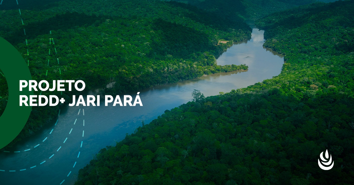 Projeto REDD+ Jari Pará - Biofílica Investimentos Ambientais