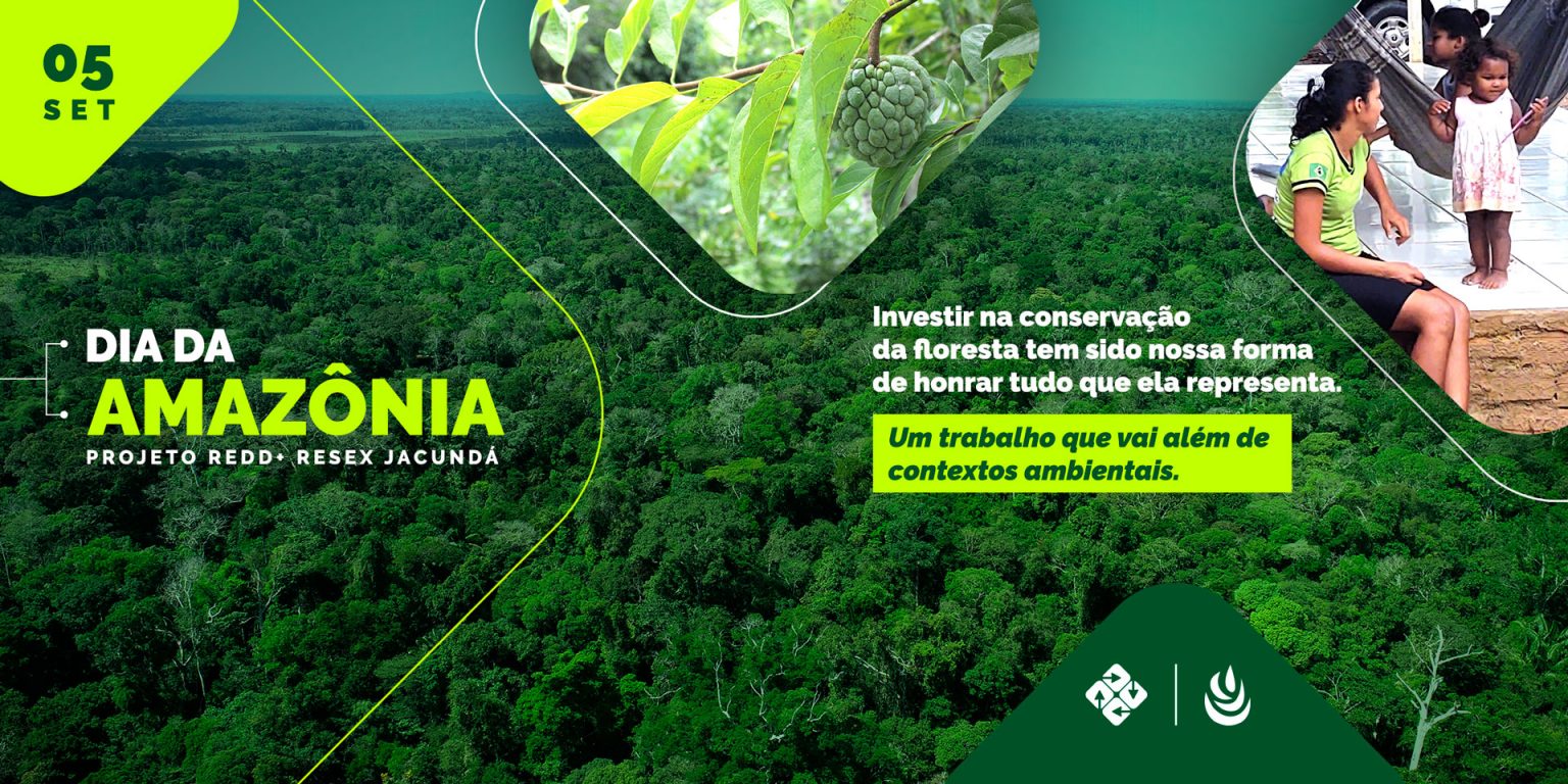 Dia da Amazônia: conservar esse patrimônio nunca foi tão urgente