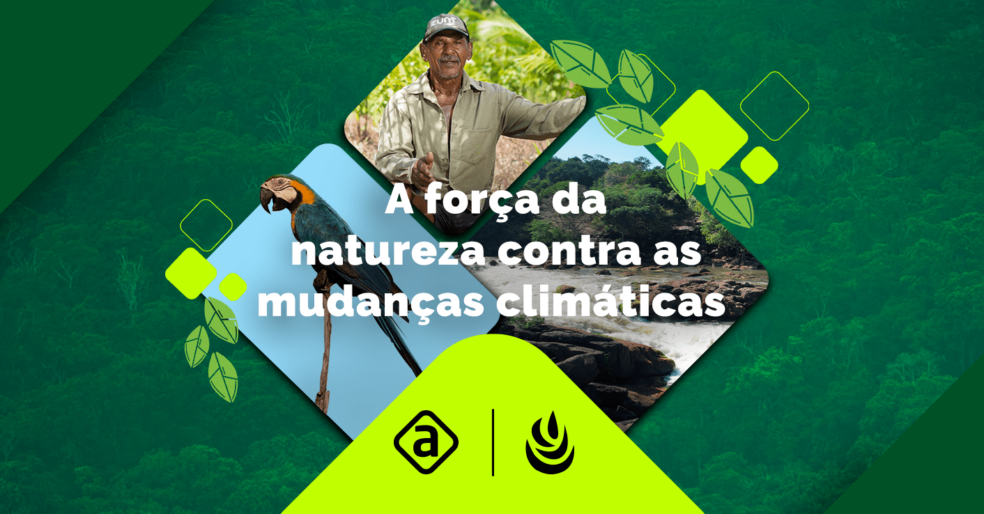 A força da natureza contra as mudanças climáticas