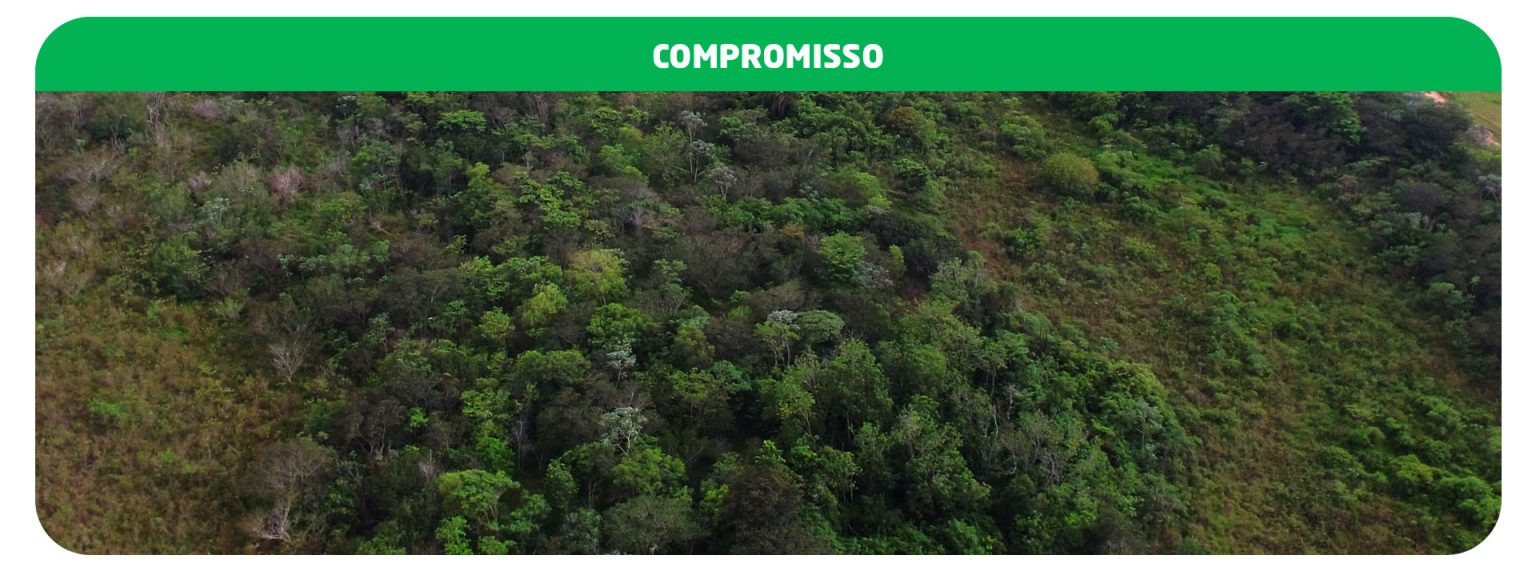 Projeto ARR Corredores de Vida é validado pela VERRA, nos padrões VCS + CCB