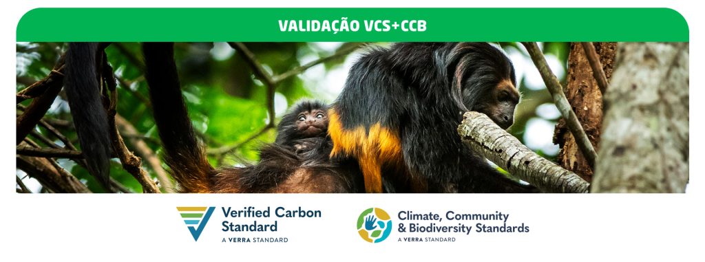 Projeto ARR Corredores de Vida é validado pela VERRA, nos padrões VCS + CCB